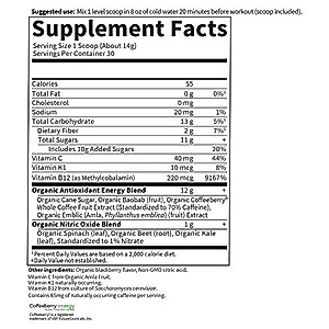 Garden of Life Sport Organic Plant Based Energy + Focus Clean Pre Workout Powder, with 85mg Caffeine, Natural No Booster, B12, Vegan, Gluten Free, Non-GMO, Blackberry, 15.3 Oz