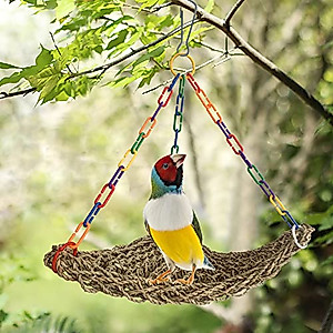 MUYG Bird Swing Toys, Birds Edible Seagrass Swing Hammock Mat Parrot Lounger with Toys Handmade Woven Hanging Hammock for Lovebird Cockatiel Canary Parakeets Finch Budgie(2 Pcs)