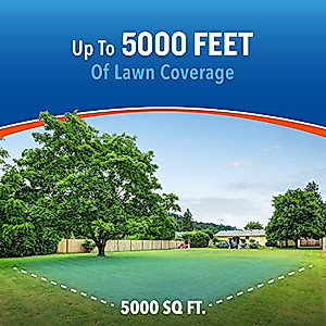 Cutter Backyard Bug Control Spray Concentrate (6 Pack), Kills Mosquitoes, Fleas & Listed Ants, 32 fl Ounce