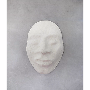 ACTIVA Paper Mache Mix, 2 Pound, White