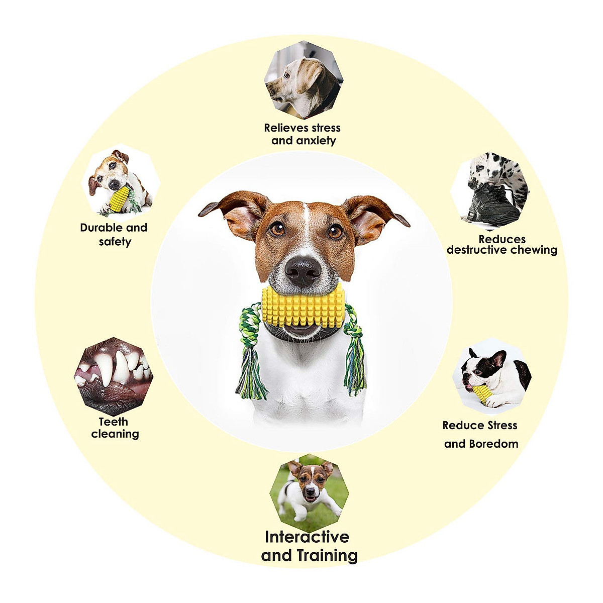 Dog Toothbrush Dog Chew Toys for Aggressive Chewers Large Breed Medium Breed,Dog Dental Care Teeth Cleaning Chew Toys