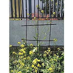 Black Plant Trellis Garden Trellis Clinging Roses Trellis Plant Cage Climbing Flower Support with Coating to Decorate Your Garden 2 Packs