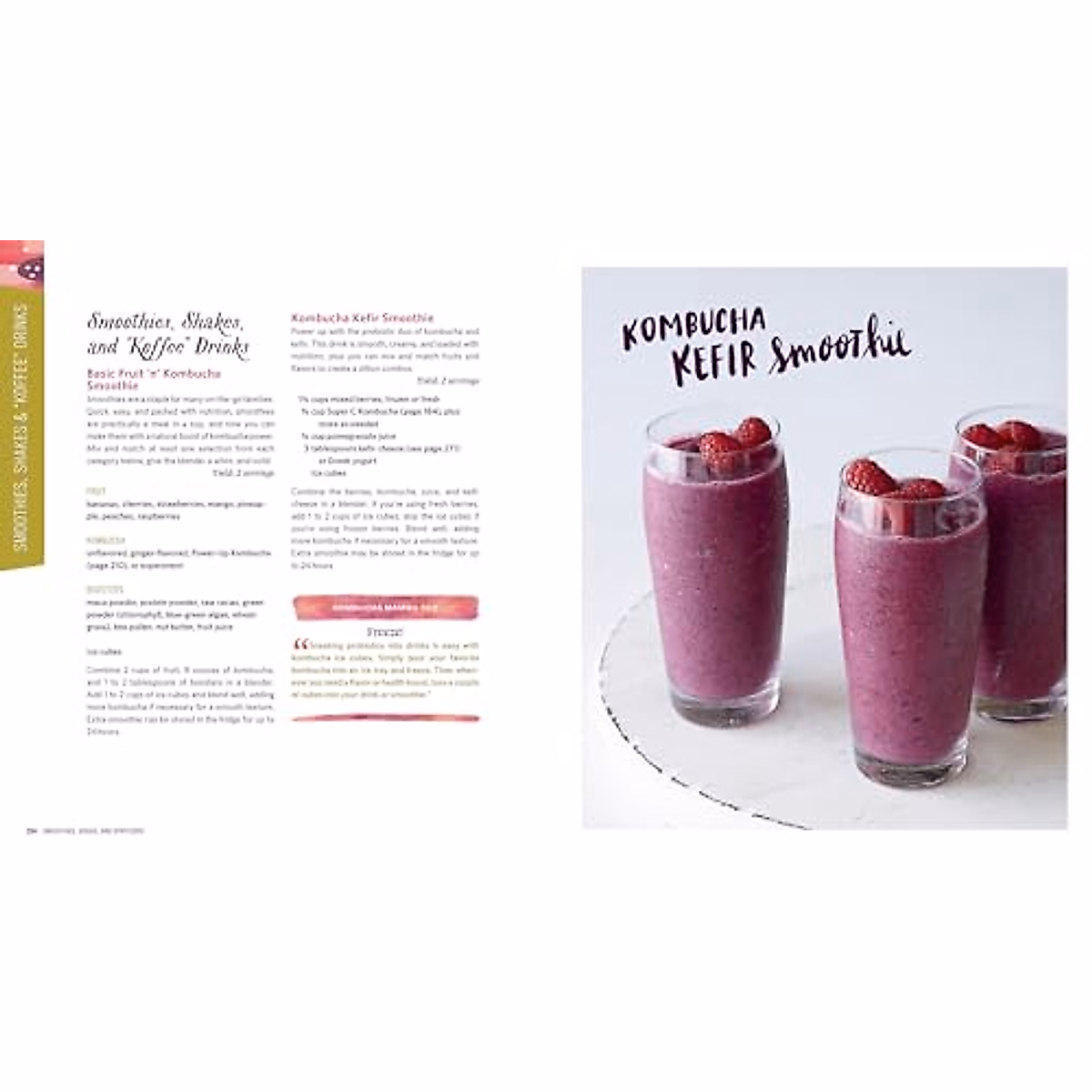 The Big Book of Kombucha: Brewing, Flavoring, and Enjoying the Health Benefits of Fermented Tea