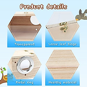 GINDOOR Parakeet Nesting Box Transparent Bird House for Cage Natural Wood Breeding Box for Parrot Parakeet Cockatiel Lovebirds Budgie Conure and Other Small Birds