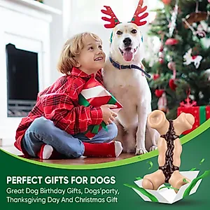 Indestructible Dog Chew Toys for Aggressive Chewers Large Breed,Dog Toys for Boredom and Stimulating,Nylon Dog Bones for Aggressive Chewers