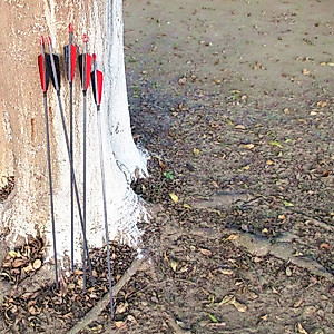 MS JUMPPER Archery Carbon Arrows 400 Spine with 4” Real Feather Fletching 100 Grain Points for Compound Recurve Longbow (12 Pack) (30 Inch Arrows)