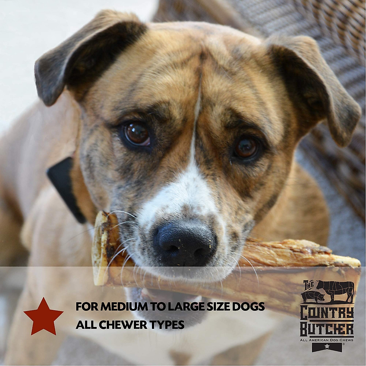 THE COUNTRY BUTCHER 7" Beef Marrow Dog Bones for Aggressive Chewers, Large and Medium Breed Dog Treat, Natural, Tough, Chew Toy, Made in The USA, 3 Count