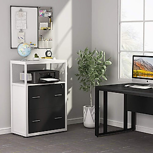 Tribesigns 2 Drawer Lateral File Cabinet with Lock, Letter/Legal / A4 Size, Large Modern Filing Cabinet Printer Stand with Metal Wire Open Storage Shelves for Office