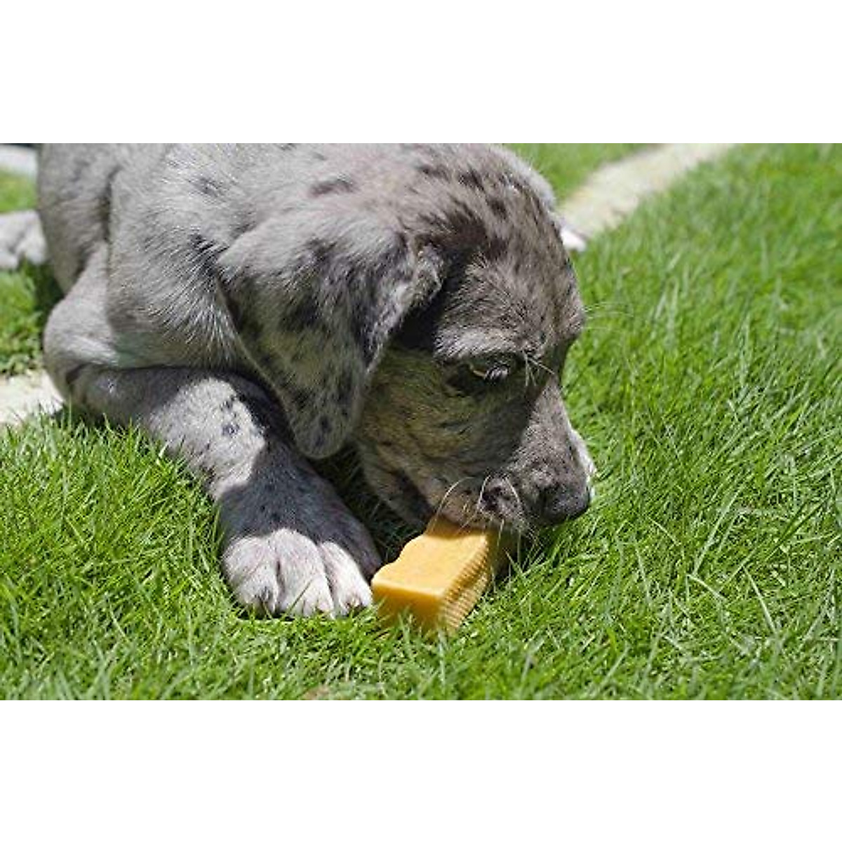 Himal Dog Treat Chew, 100% Natural Long Lasting Yak Chews. Medium