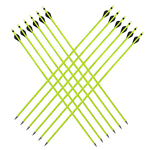 12Pcs 31'' Fluorescent Yellow Pure Carbon Arrows with Replaceable Points for Compound Bow and Recurve Bow Hunting and Target Practice