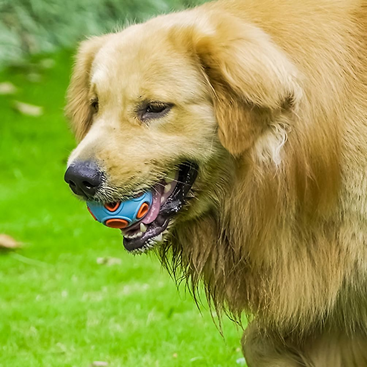 Totority Dog Bell Ball Sound Toys,2Pcs Pet Bell Sound Interaction Ball Dog Chew Toy Bite-Resistance Strong Tooth Cleaning Molar Toy