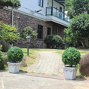 Set of 2 -Pre-Potted Artificial Potted Shrubs UV Resistant,24" Artificial Boxwood Topiary Ball Tree,for Indoor and Outdoor Home Garden(Green)