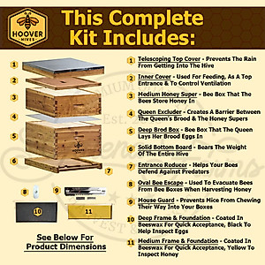 Hoover Hives 10 Frame Bee Hive Starter Kit for Bee Keepers - Langstroth Beehive Kit Comes with 2 Honey Bee Hives Boxes That are Coated in 100% Naturally Organic Beeswax (Unassembled)