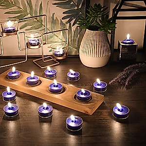 Zest Candle 50-Piece Tealight Candles, Blue