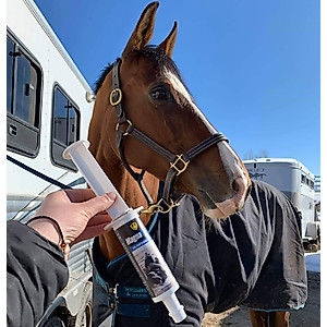 MagnaGard Pre-Performance Calming Paste for Horses - All Natural Gastric Support by Eagle Equine (6 Pack)