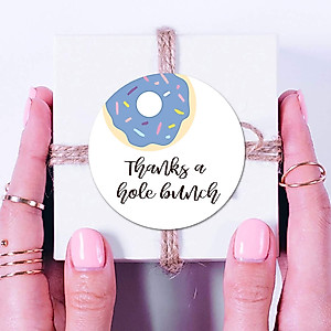 Blue Donut Thank You Stickers, Boy Baby Shower or Birthday Party Thanks a Hole Bunch Sticker Labels