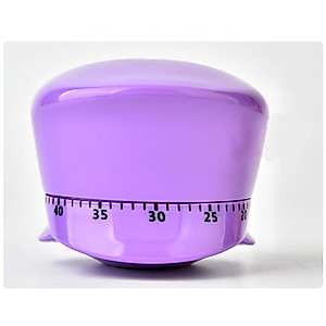 Cartoon Big Eyed Eagle Machinery Timer 60 Minutes Mechanical Kitchen Cooking Timers Clock Loud Alarm Counters Manual Timer Kitchen Utensil (Purple)
