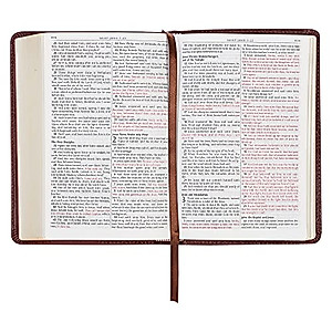 KJV Holy Bible, Compact Faux Leather Red Letter Edition - Ribbon Marker, King James Version, Saddle Tan