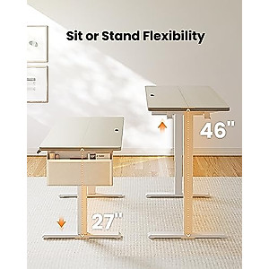 ErGear Standing Desk with Storage Pocket, 48 x 24 inch Height-Adjustable Standing Desk, Electric Standing Desk Workstation with Height Memory Presets for Home & Office, Natural Wood