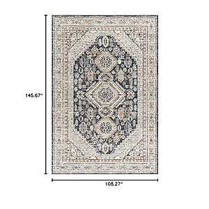 BoutiqueRugs Kouta Traditional Area Rug - Natural Gray - 9' x 12'2"