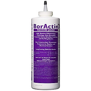 Rockwell Labs BAIP001 BorActin Insect Dust Insecticide, 1 lb, White