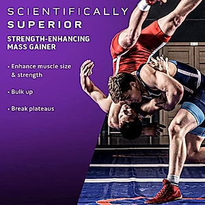 Mass Gainer Protein Powder | MuscleTech Mass-Tech Mass Gainer | Whey Protein Powder + Muscle Builder | Weight Gainer | Protein Powder for Muscle Gain | Creatine Supplements | Strawberry, 7 lbs