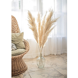 48" Extra Large Pampas Grass Stems Beige- 4 Pampas Stems - Tall-Pampas Grass for Floor Vase - Wedding Decoration