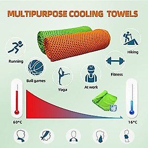 SpoxFit Pickleball Paddles Set of 2, USAPA Approved, Lightweight Pickleball Rackets, Fiberglass Pickleball Racquet with Cushion Comfort Grip, 4 Pickleballs, Carry Bag, Grip Tapes, Gifts for Men Women