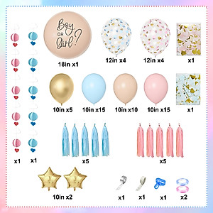 Ouddy Party Gender Reveal Decorations, Pastel Pink and Blue Nude Confetti Balloons Arch Kit Star Hanging Cloud Garland Paper Tassels He or She Boy or Girl Gender Reveal Baby Shower Party Supplies