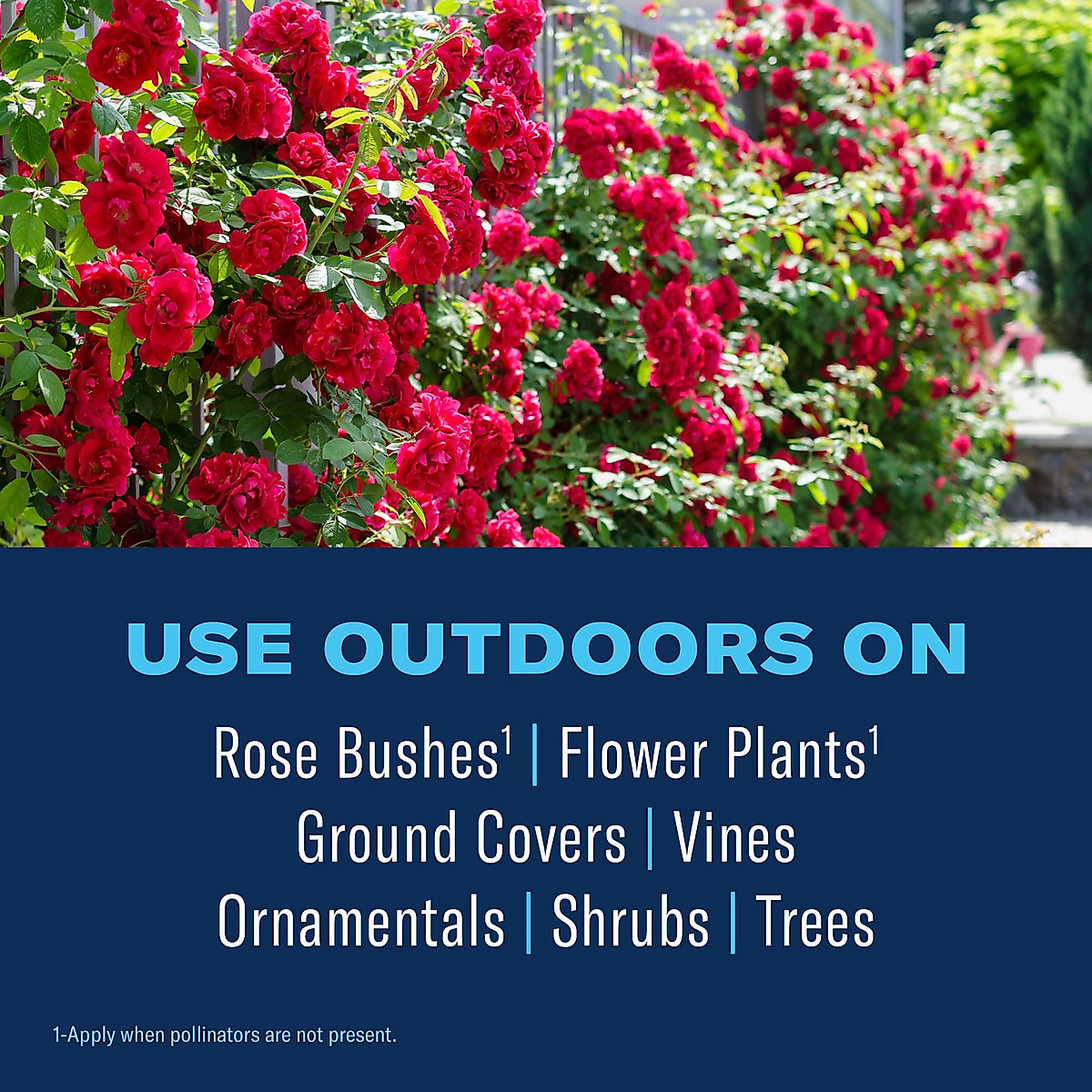 BioAdvanced All-in-One Rose & Flower Plant Care, Ready-to-Spray, 32FOZ