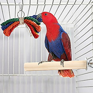 PrimePets Bird Parakeet Toys, Bird Cage Swing Toys, 13 Pack, Colorful Hanging Bell Hammock Climbing Ladder Toys for Cockatiel, Conure, Finches, Mynah, Love Birds