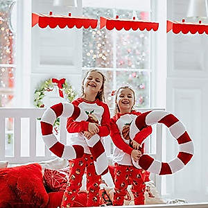 Tallew 8 Pcs 3D Awning Wall Decor Stripes Paper Carnival Tent Circus Birthday Candy Party Theme Doors Window Classroom Home Christmas (Farmhouse Style), Red and White, 63 x 23 cm/ 24.8 x 9.06 inches