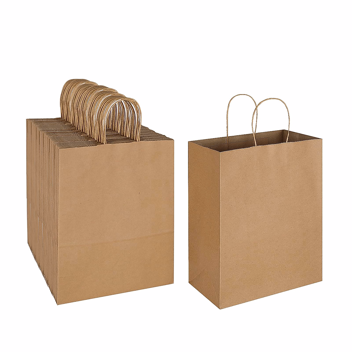 Oikss 100 Pack 10x5x13 Plain Natural Brown Kraft Paper Bags with Handles Bulk for Birthday Party Favors Grocery Retail Shopping Business Goody Recycled Craft Gift Bags (Large Size, 100 Count)