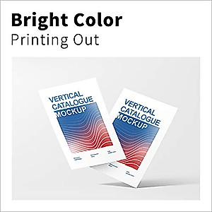 LemeroUexpect Remanufactured Ink Cartridge Replacement for HP 96 97 C8767WN C9363WN Combo Pack for DeskJet 5740 5940 9800 6988 6980 OfficeJet 7310 7210 Photosmart 8050 2610 Printer (Black Color, 2P)