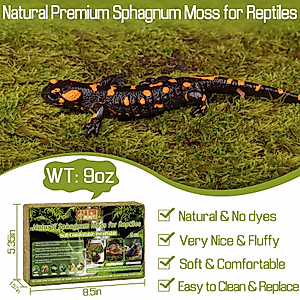 Halatool 9OZ Natural Sphagnum Moss for Reptiles Green Live Moss for Terrarium Plants Long Fiber Reptile Moss for Leopard Gecko Snake Hamsters Tortoises Frogs Lizards Salamanders