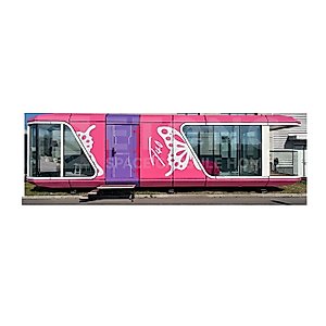 Butterfly Pink Capsule Home Portable Prefabricated Tiny Home 1 Bedroom, 1 Kitchen, 1 Living Room, 1 Rest Room House 11490 L, 3300 W, 3300 H, mm, 37.92 M2, House, Hotel, Villa, She Shed, Camping Home