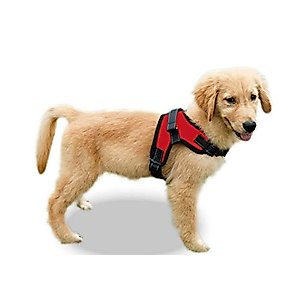 Copatchy No Pull Reflective Dog Harness (Small, red)