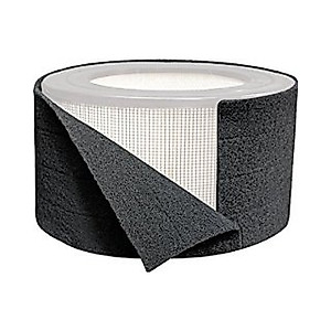 Compatible to 34002 Replacement Carbon Pre-Filter 2 pack (E34) by CFS