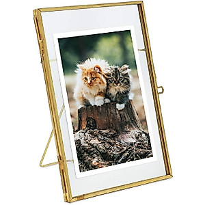 WONTHAI Gold Picture Frame - 4x6 Antique Brass Postcard Picture Frame for Desk - Small Pressed Glass Frame for Pressed Flowers - Floating Vertical (4 * 6 vertical)…
