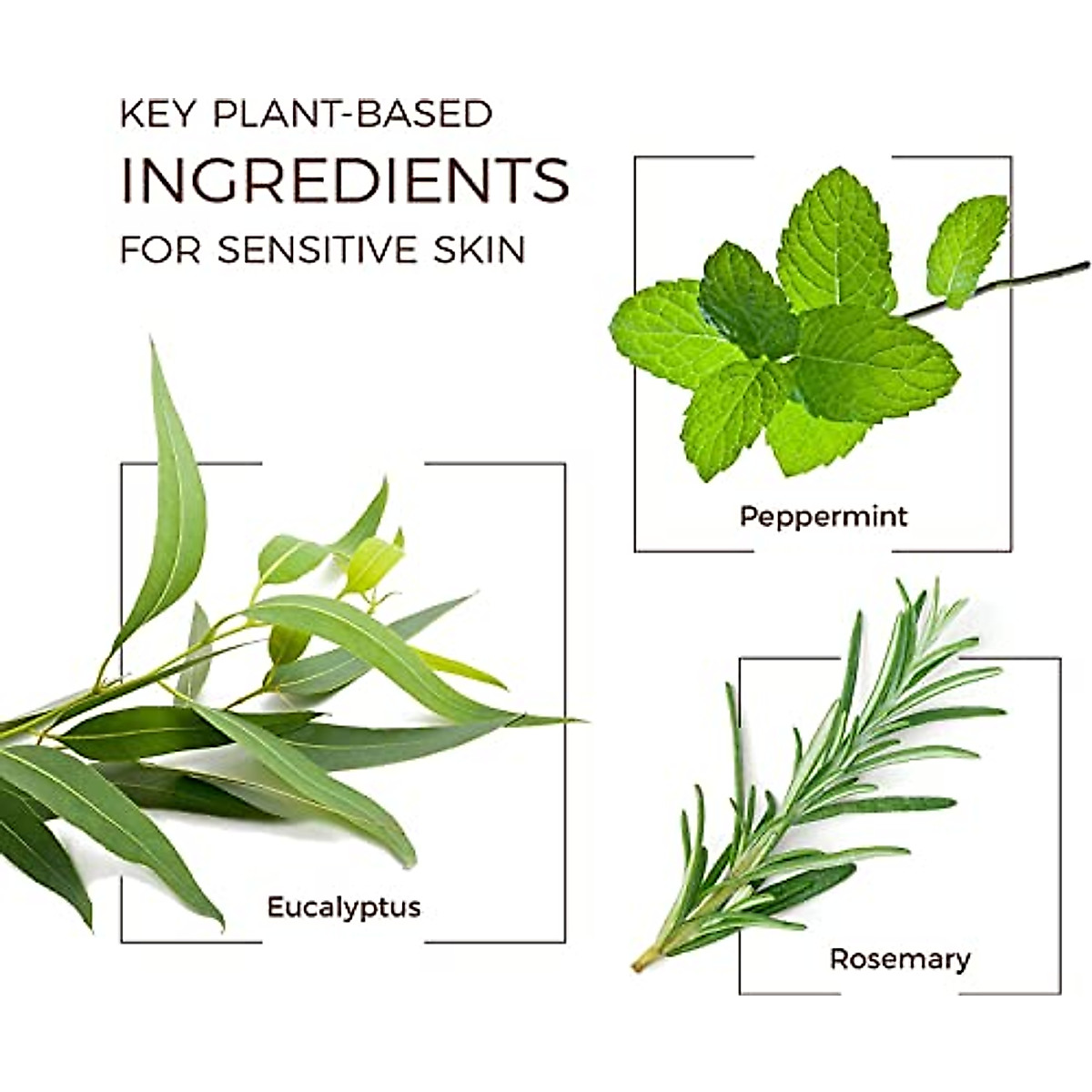 Babo Botanicals Eucalyptus Remedy Plant-Based 3-in-1 Shampoo, Bubble Bath & Wash - with Vapors of Eucalyptus, Rosemary & Peppermint - For Babies, Kids or Sensitive Skin - EWG Verified - 15 fl. oz.