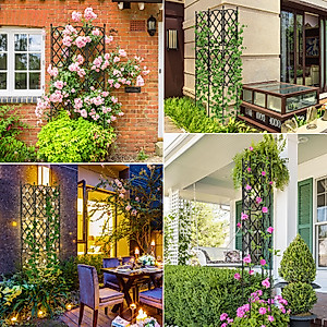 Garden Trellis for Climbing Plants, Deaunbr Plant Support Obelisk Trellis Garden Trellises for Vines, Flowers Stands, Raised Bed, Outdoor & Indoor Potted Plants, Tomato, Rose, Cucumber, Pea, Clematis
