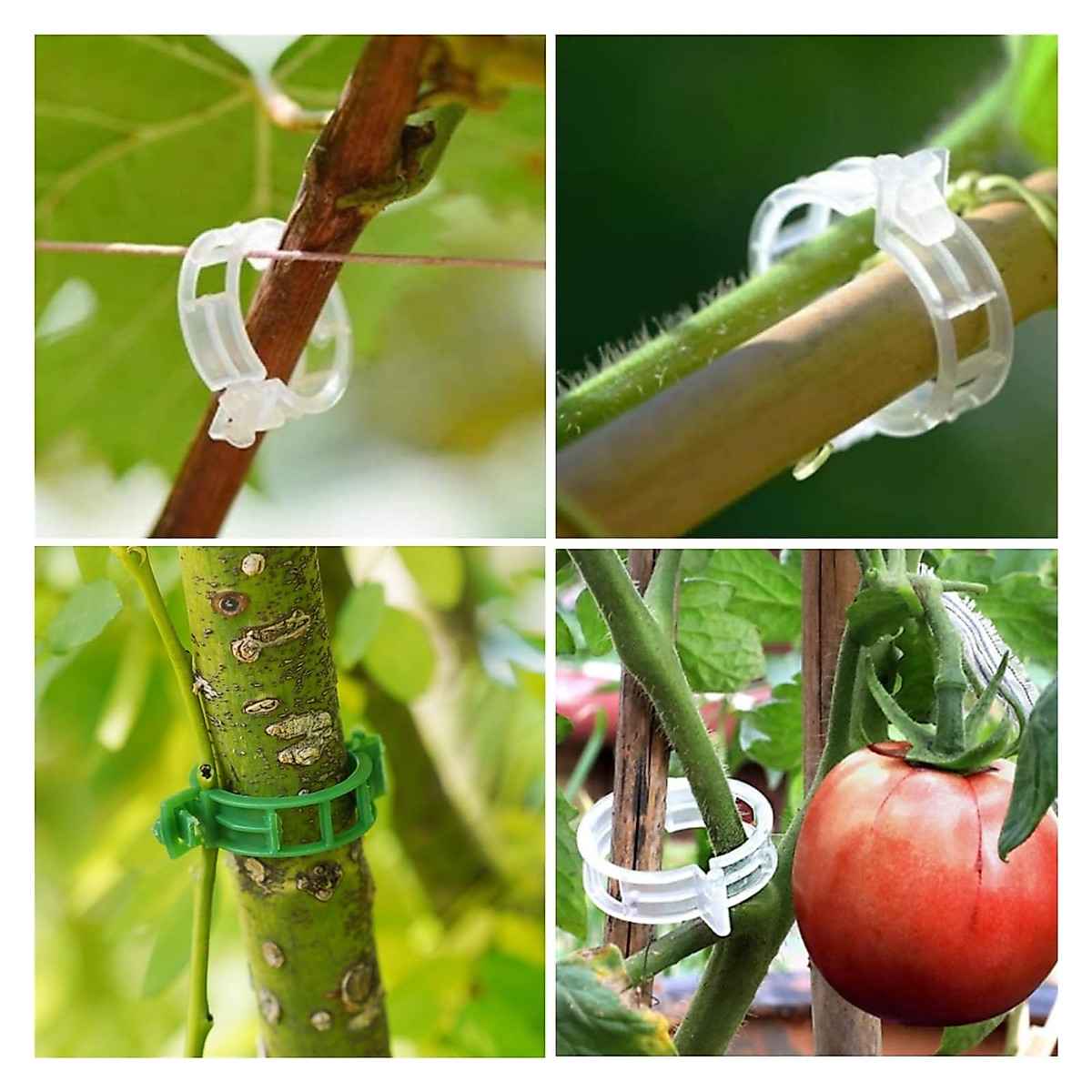 Secured Plastic Plant Clip, 2024 Upgrade Plant Support Clips, Garden Clips for Climbing Plants, Tomato Clips, Plastic Trellis Clips Plant Support Clips，Plastic Trellis Clips Plant Support Clips Grape