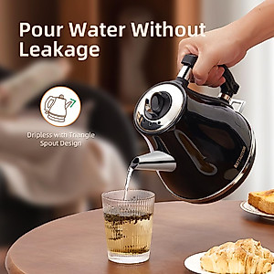 Electric Kettle, 1.2 Liter 1000W Small Hot water Kettle Electric with 100% 304 Stainless Steel Auto-shut off and Boil Dry Protection and fast-heating Electric Tea Coffee Kettle Black Color