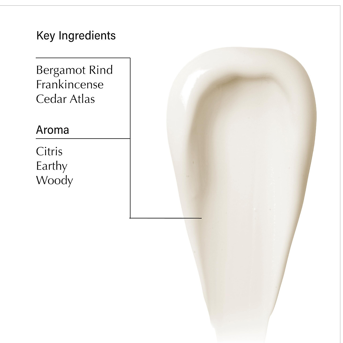 Aesop Shampoo and Conditioner Set - Earthy | Cleanser for All Hair Types and Scalp | Soft, Shiny, Fragrant Hair | Paraben, Cruelty-free & Vegan | 16.9 oz