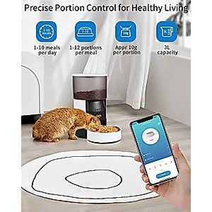 QLIFE Automatic Cat Dog Feeder: Dry Food Dispenser for Dog, Auto Pet Feeder, Portion Control Automatic Dog Feeder (Black WiFi, 3L)