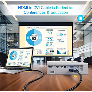 BlueRigger HDMI to DVI Cable (6FT, High-Speed, Bi-Directional Adapter Male to Male, DVI-D 24+1, 1080p, Aluminum Shell) - Compatible with Raspberry Pi, Roku, Xbox One, PS5/PS4/PS3, Graphics Card