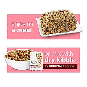 Purina Beneful Gravy, High Protein Wet Dog Food, Chopped Blends With Salmon - (8) 10 oz. Tubs