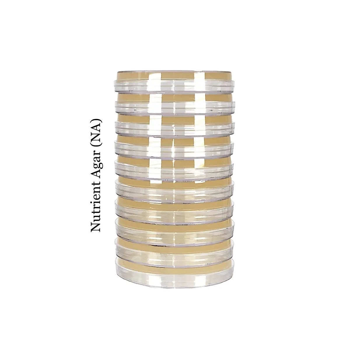 Nutrient Agar (NA), (10-Pack), Pre-Poured, 15x100mm Petri Plates. General Purpose Media for Isolation and Cultivation of a Variety Bacteria and Fungi.