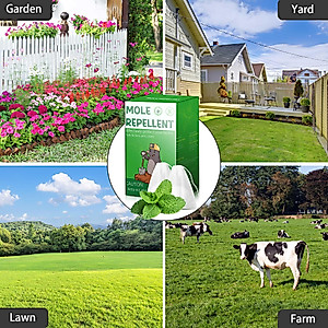 36 Pack Mole Repellent for Lawns, Natural Vole Repellent Gopher Repellent and Groundhog Repellent Outdoor Use, Getting Rid of Moles and Voles from Lawn Yard Garden, Mole Deterrents Plant Safe