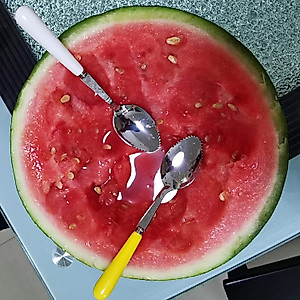 Goeielewe Set of 6 Grapefruit Spoons with Round Serrated Edges, Stainless Steel Serrated Spoon with Multicolor Ceramic Handle, Kiwi Apple Citrus Fruit, Dessert Spoon Sets (Silver)